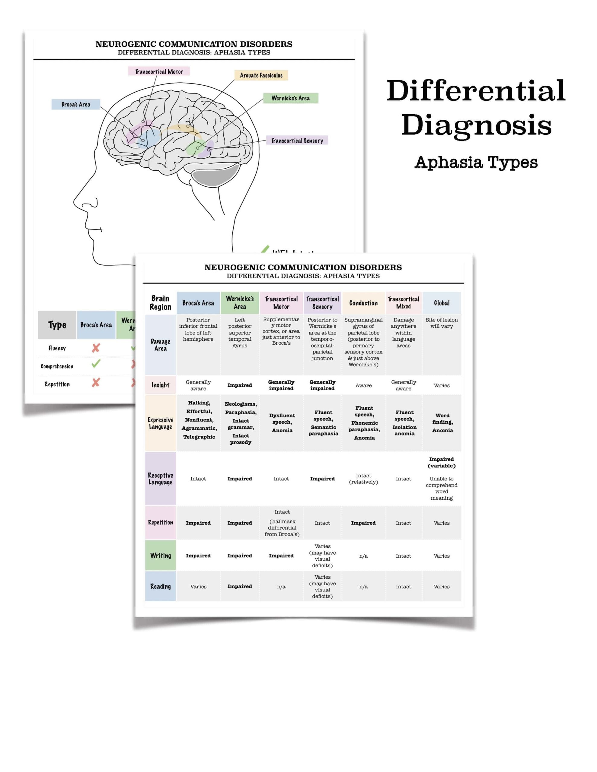 Handout Aphasia Differential Diagnosis Chart Medical SLPs Handout Aphasia Differential Diagnosis Chart Medical SLPs