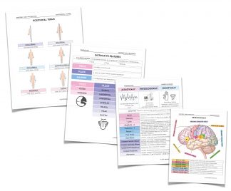 SLP Praxis Study Guide - Medical SLPs